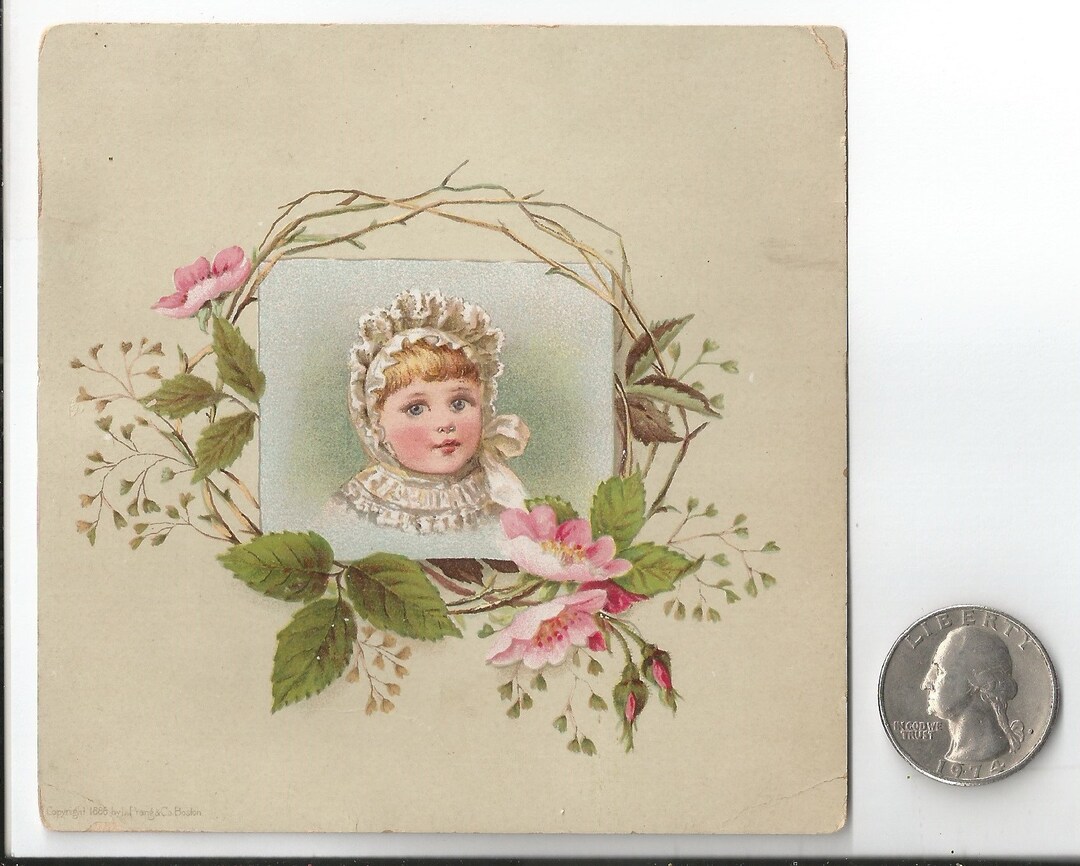 1888 Victorian Trade Card/print- Young Girls Picture Framed With Wild ...