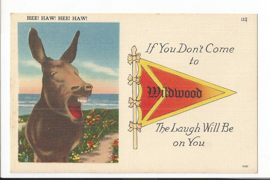 1940s Linen Pennant Postcard Humor, Jackass Postcard, Wildwood, Cape ...