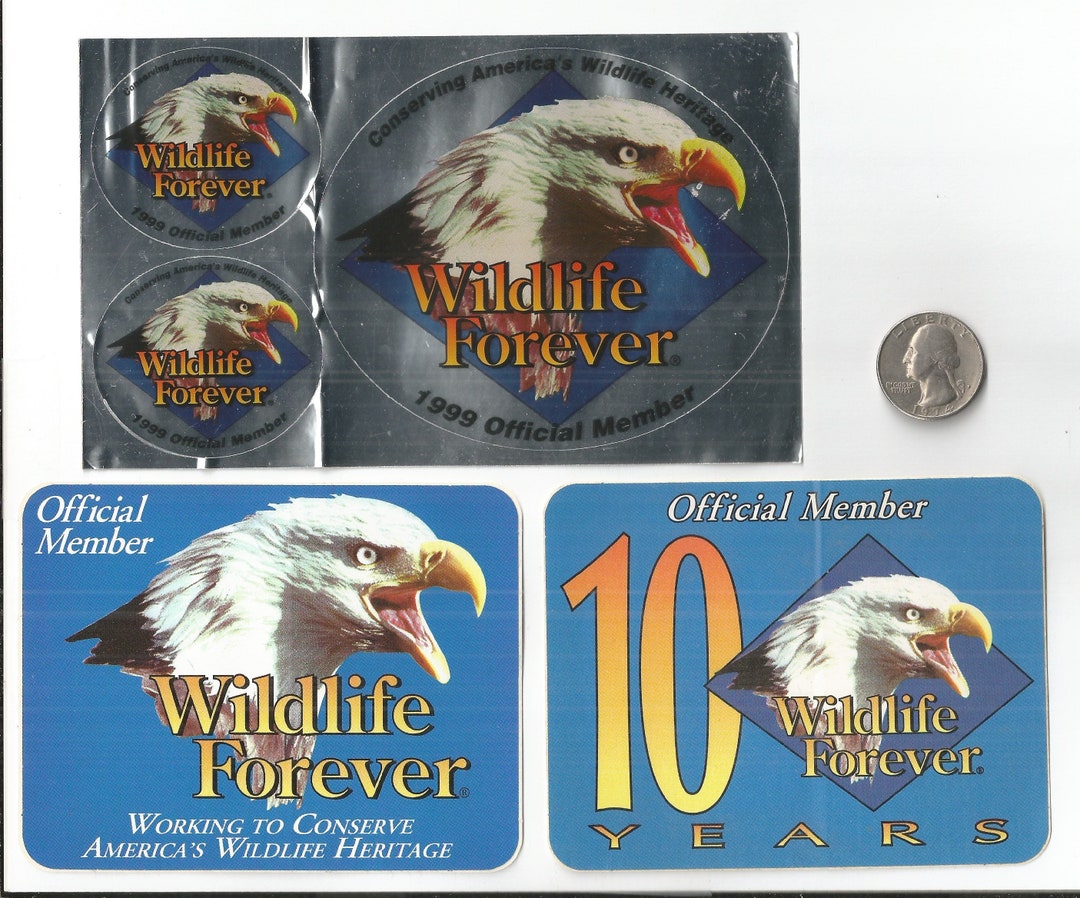 1990s Wildlife Forever Decals Collection Lot of (5) Stickers ...