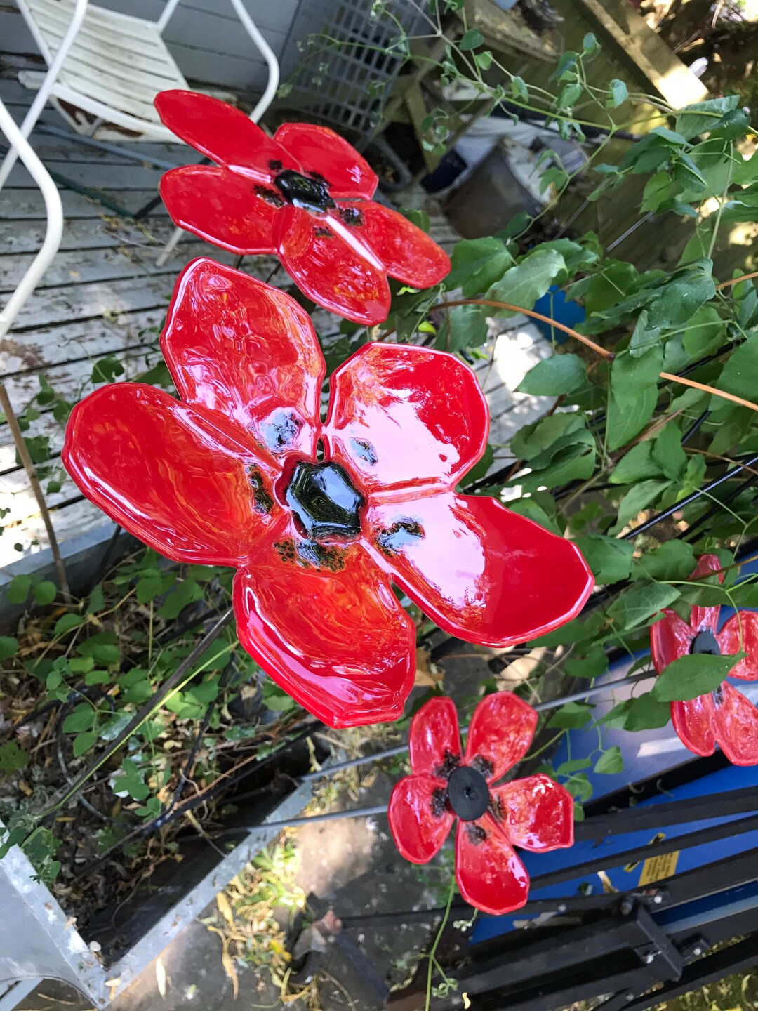 The Poppy Lover Fused Glass Collection Fused Glass Poppies - Etsy