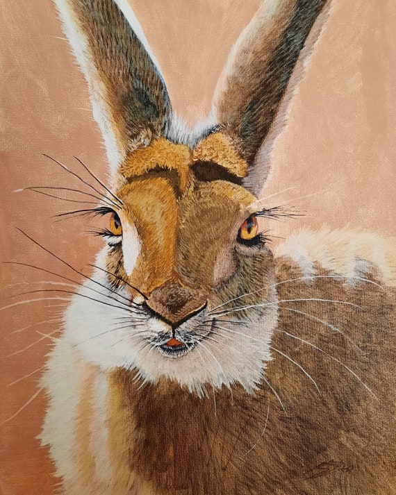 Original Art-hare Portrait-wildlife Painting - Etsy