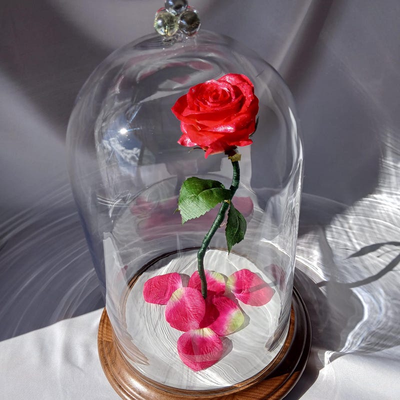 Enchanted Rose - Etsy