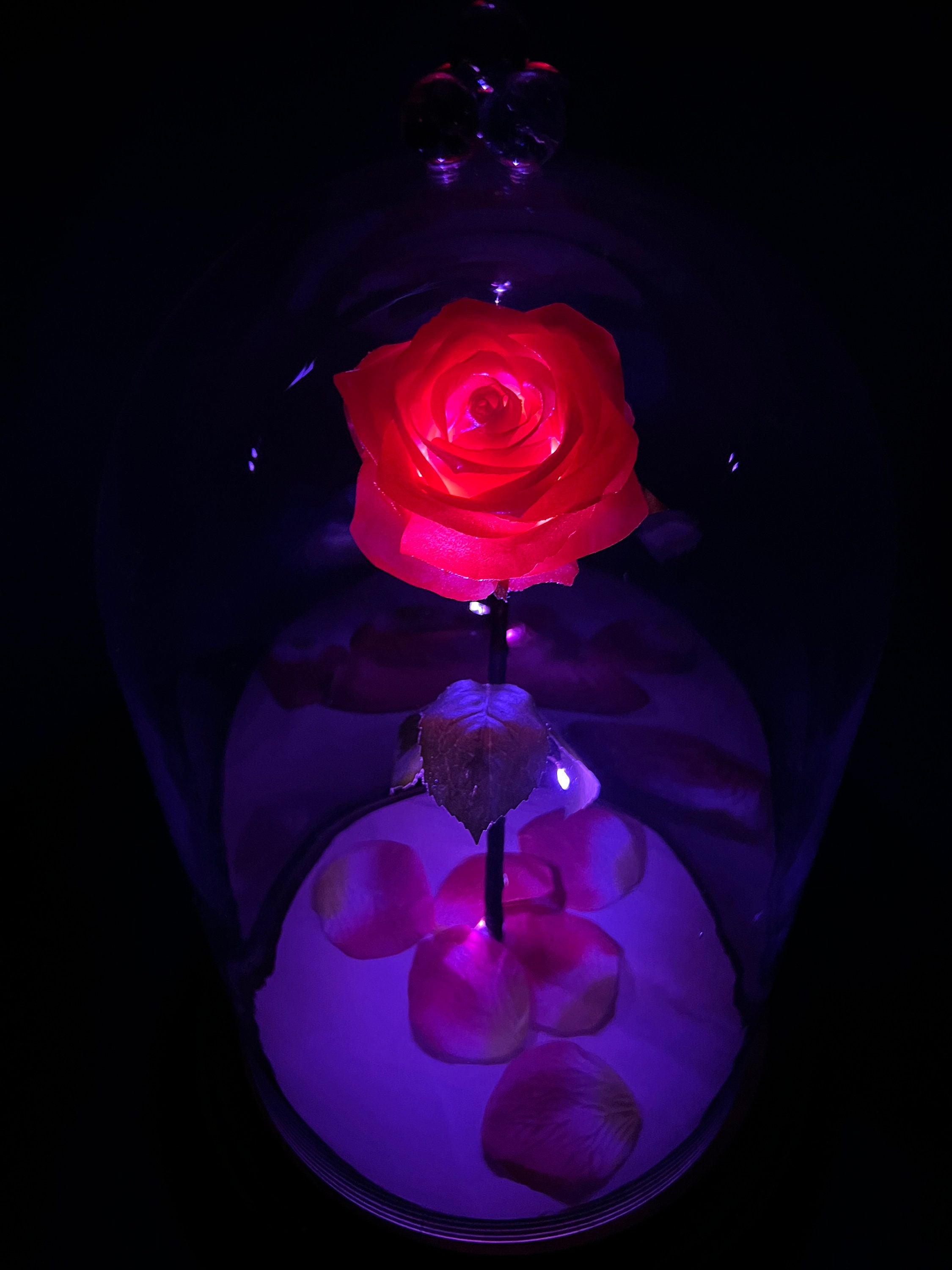 Beauty And The Beast Enchanted Rose Prop