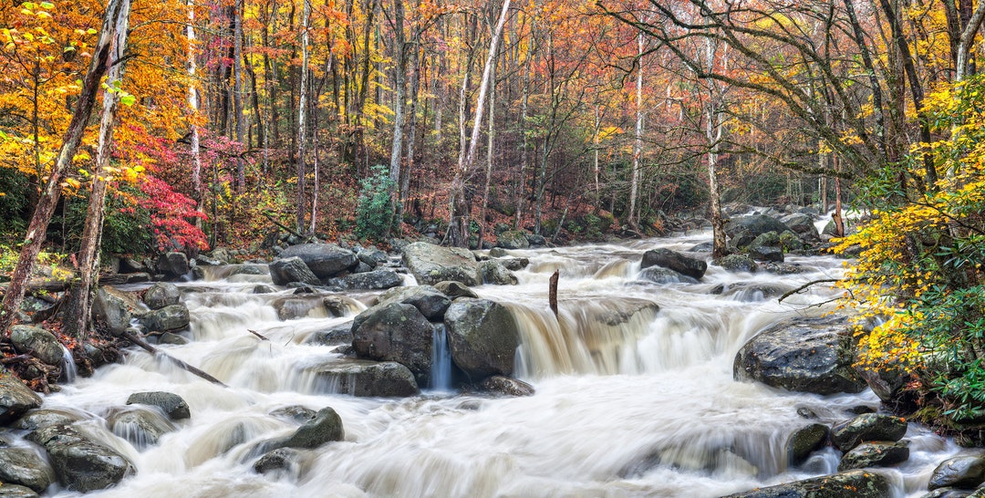 Wild Autumn - Digital Download - Fine Art Photography - From William ...