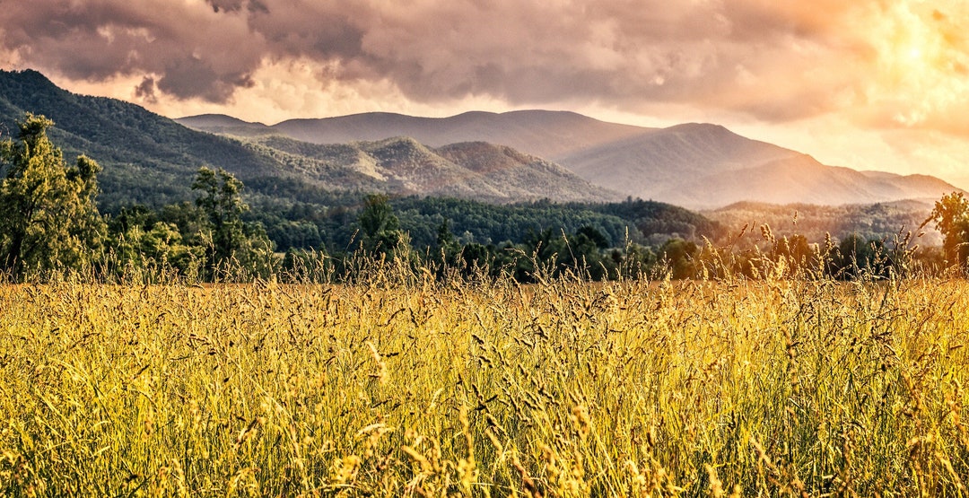 Cades Cove Summer Evening - Digital Download - Fine Art Photography ...