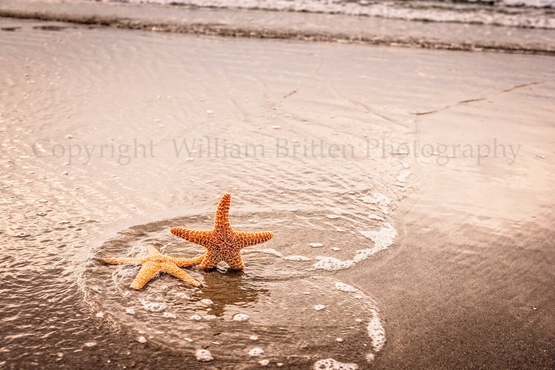 Beach Photography Romantic Whimsy Stock Photography Digital Download ...
