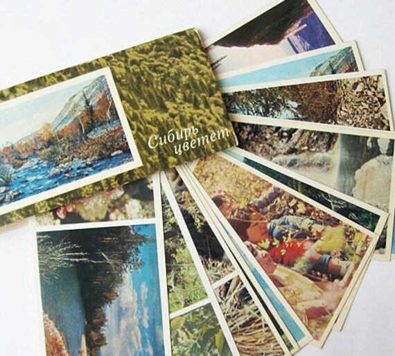 Soviet Siberian Plants Postcards Botanical Postcard Set 15 - Etsy