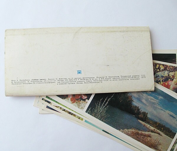 Soviet Siberian plants postcards botanical postcard set 15 | Etsy