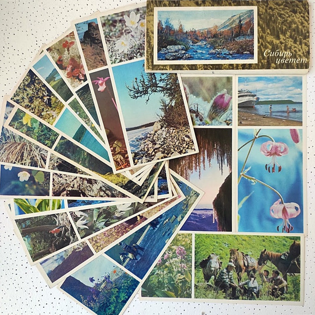 Vintage Soviet Postcards Set Siberia is Blooming Сибирь цветет 1970 ...