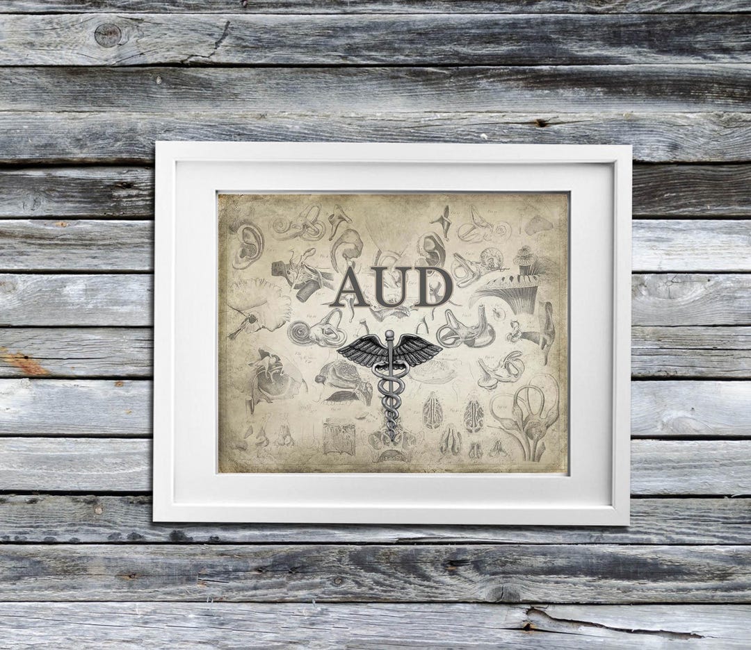 AUD Doctor of Audiology Caduceus Ear Anatomy Medical Art - Instant ...
