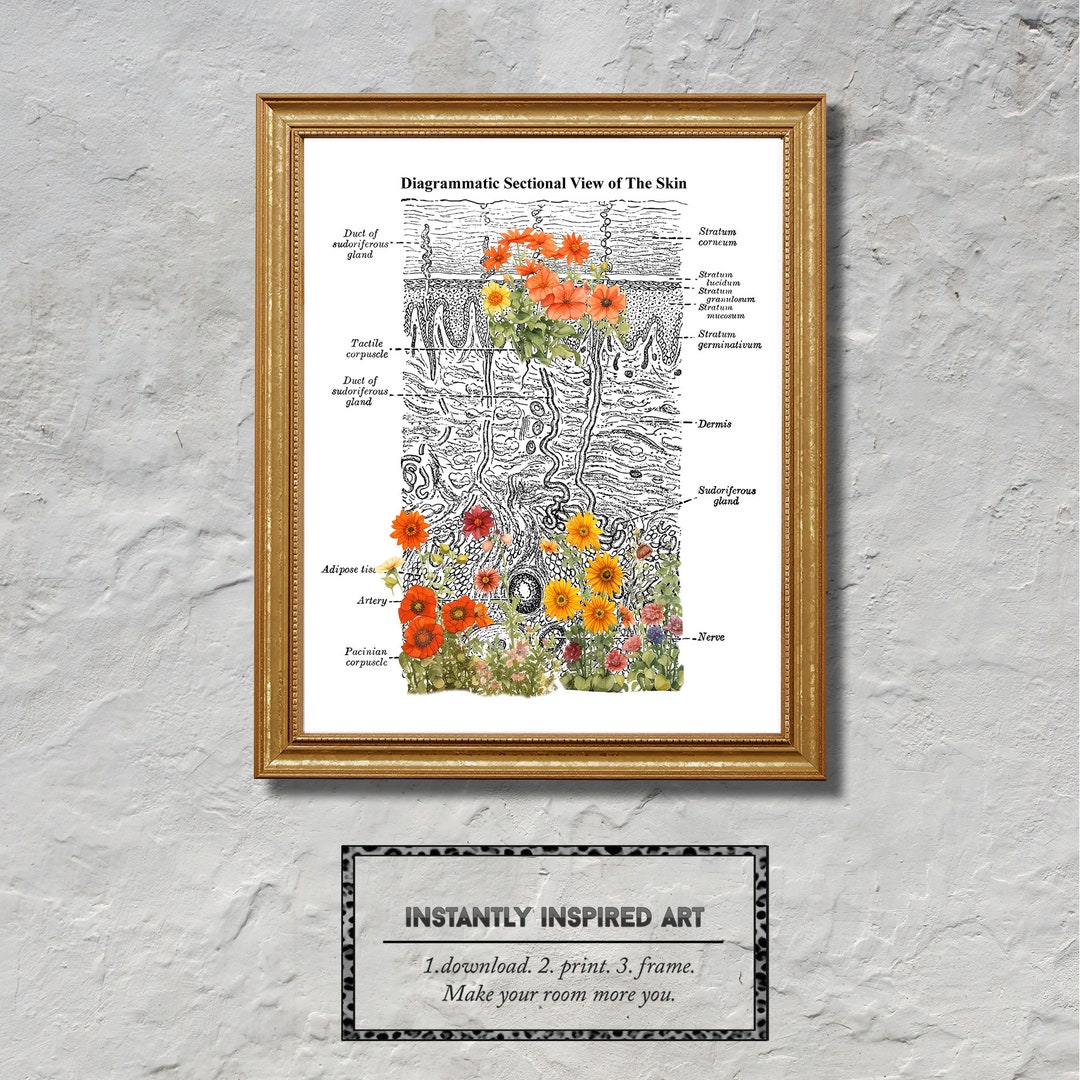 Dermatology Floral Anatomy Skin Printable Art- Digital Download ...