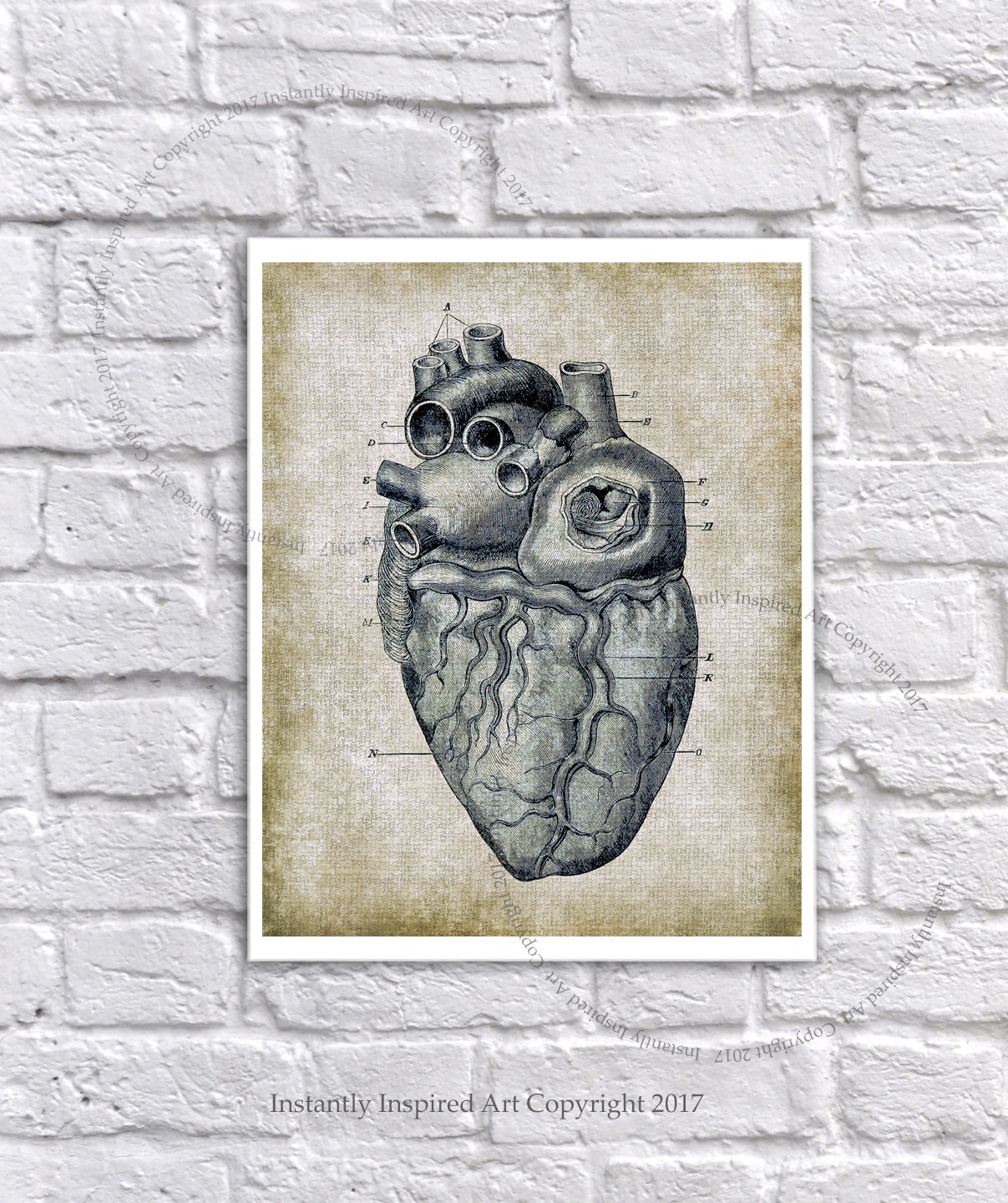 Vintage Anatomy Wall Decor Human Heart Medical Textbook Anatomy Art ...