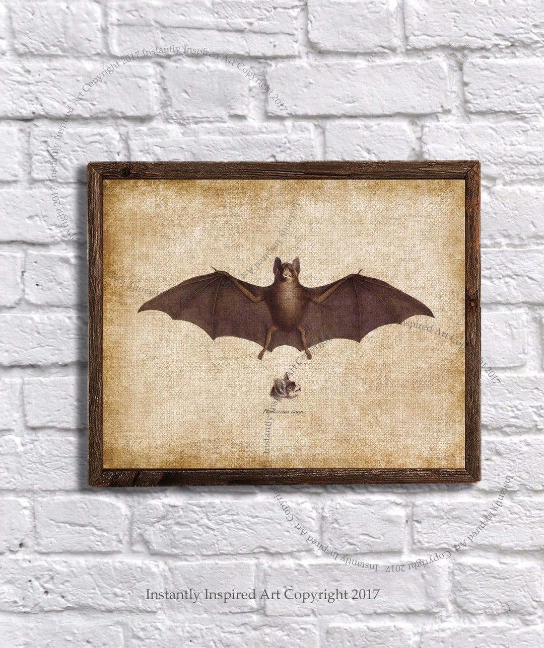 Bat Picture - Bat Printable - Halloween Decorations Wall Decor - Last ...