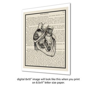 Anatomy Heart Book Art #3A123 Set of 3 Digital Download Printable ...