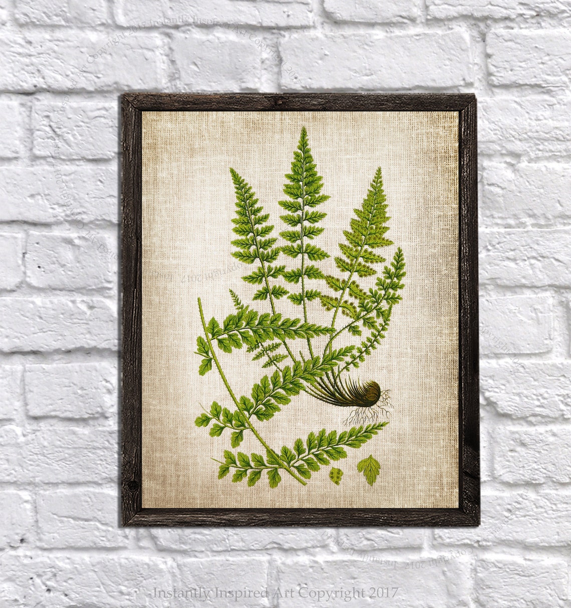 Vintage Ferns Printable Botanical Print Set of 4 Instant | Etsy