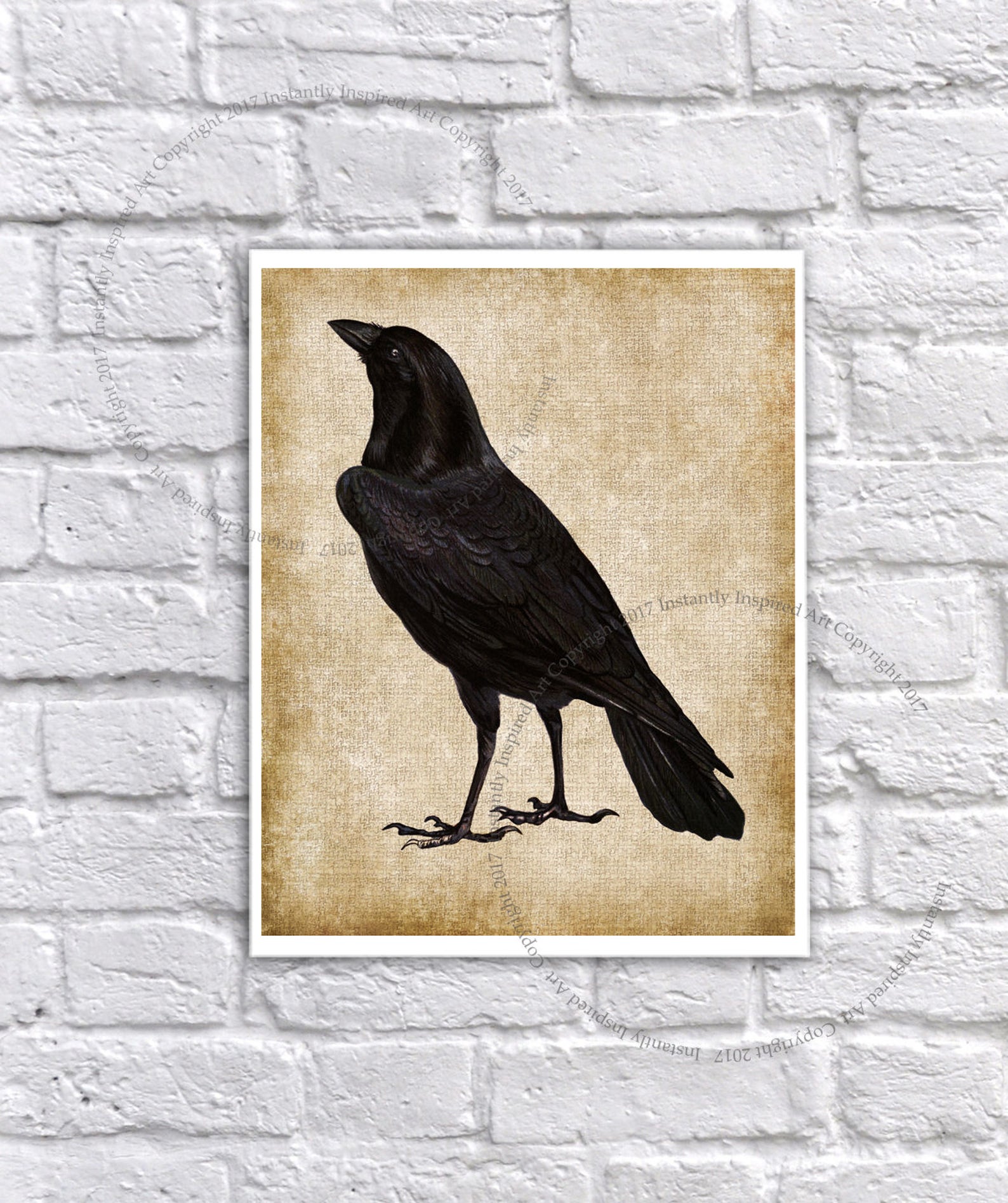 Raven Art Print - Black Bird Art - Halloween Decorations Wall Decor ...