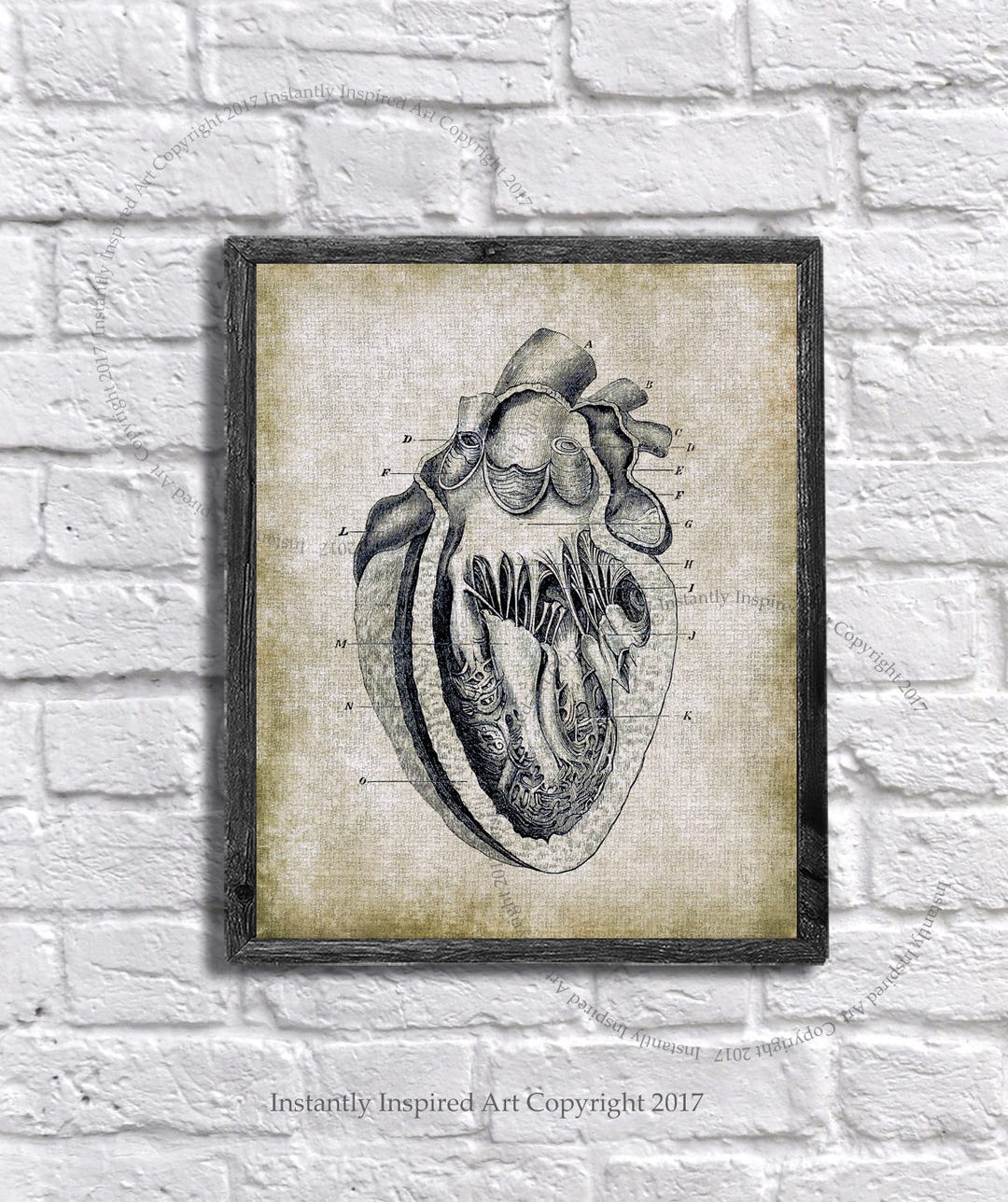 Vintage Anatomy Wall Decor Human Heart Medical Textbook Anatomy Art ...