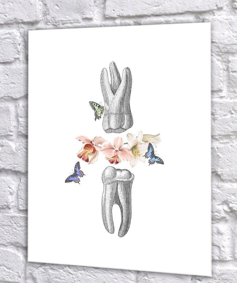 Dental Art Tooth Anatomy With Orchid and Butterflies Dentist Office ...