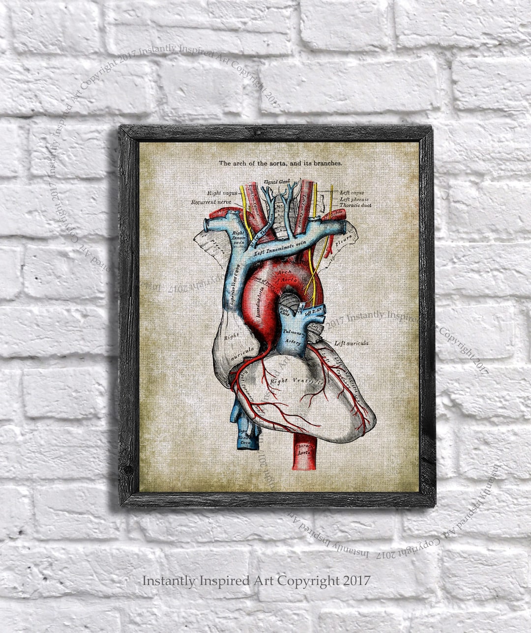 Vintage Anatomy Wall Decor Human Heart Medical Textbook Anatomy Art ...