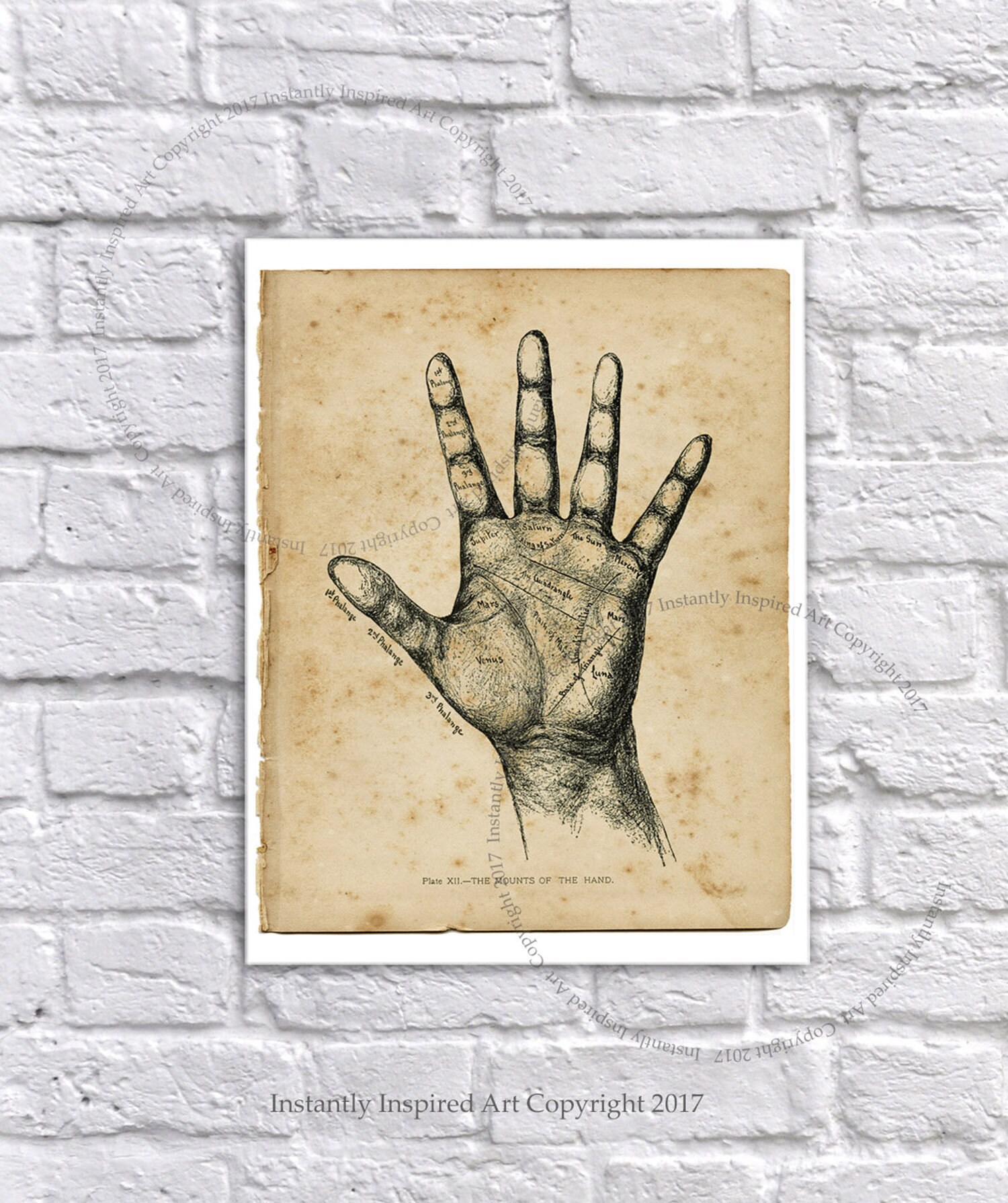 Palmistry Hand Art Print, 8x10" Palmistry Printable Instant Download ...