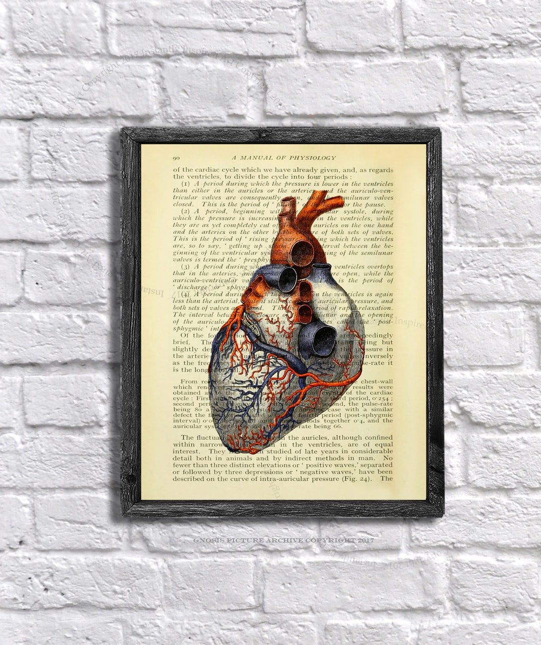 Heart Anatomy Art Decor Human Heart Printable Instant Download - Nurse ...