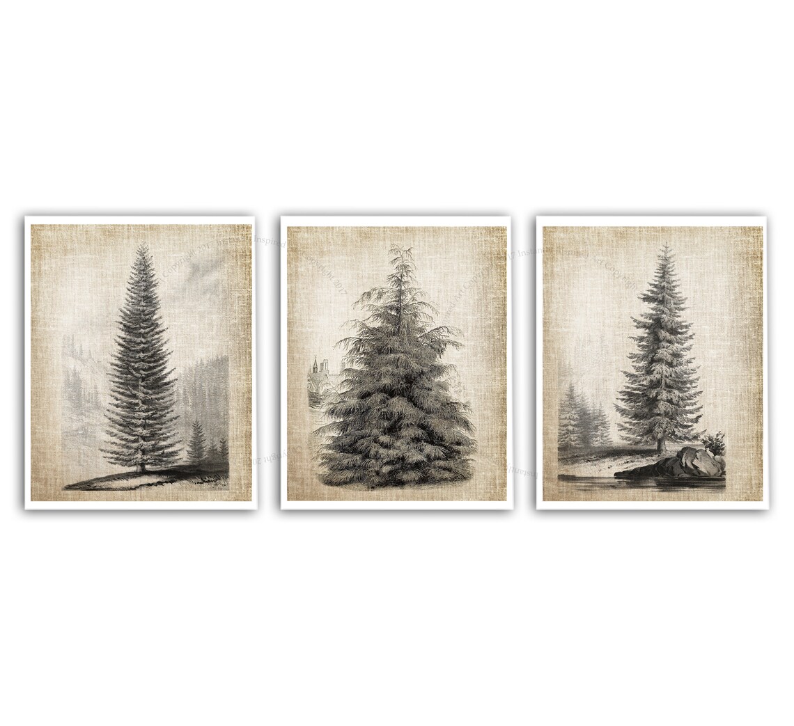 Vintage Christmas Tree Clip Art Evergreen Trees Set of 3 Printables ...
