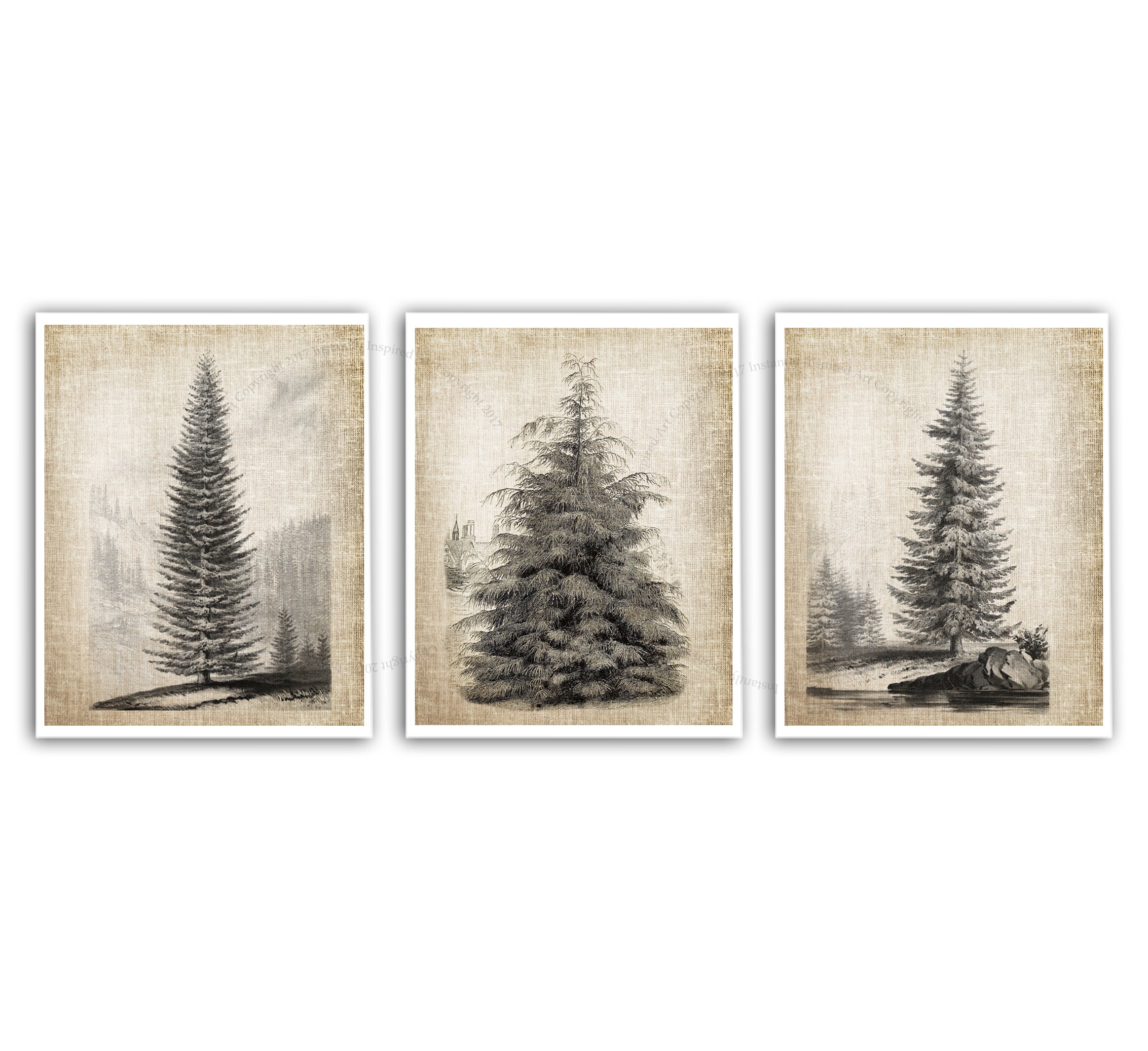 Vintage Christmas Tree Clip Art Evergreen Trees Set of 3 Printables ...
