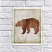 Rustic Bear Decor Instant Download Wall Decor DIY Printable Art Cabin ...