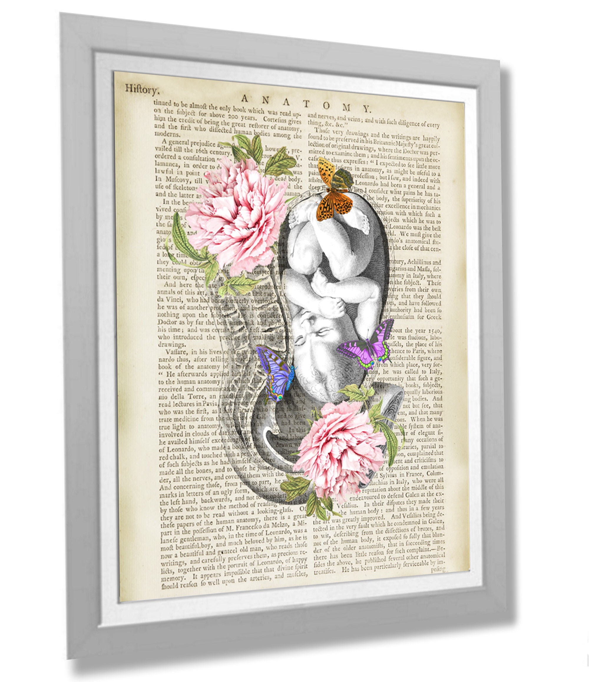 Fetus Uterus Anatomy Art Digital Instant Download Files - Etsy