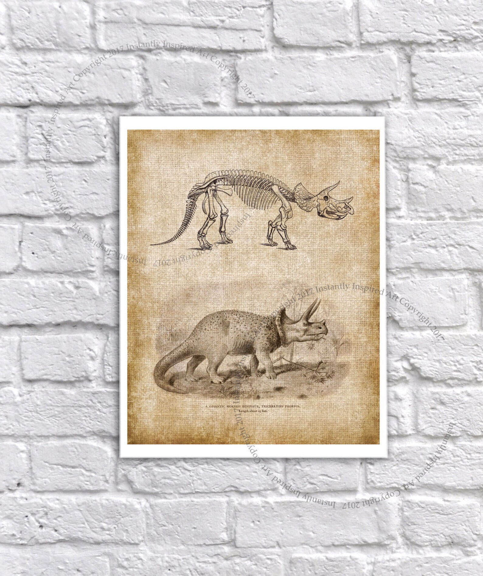 Vintage Dinosaur wall Art Set of 4 Triceratops art Dinosaurs | Etsy