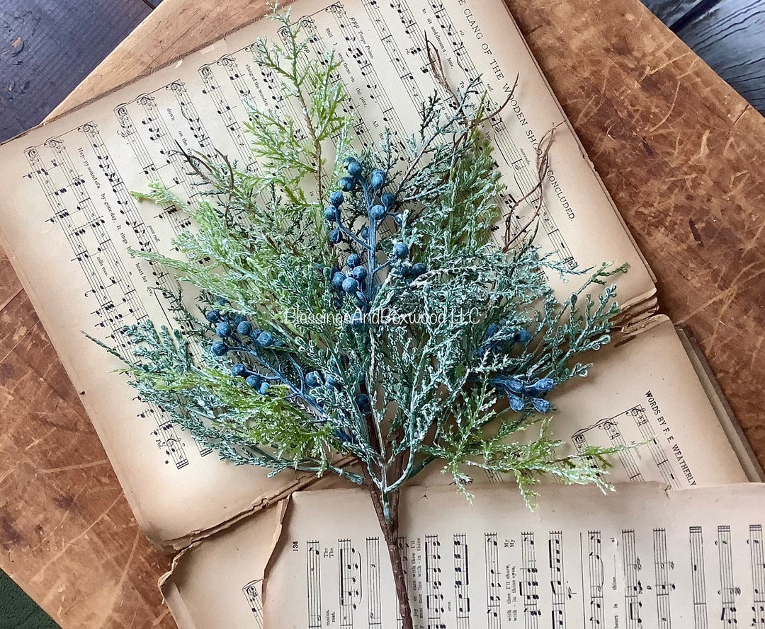 Set of Blue Juniper Branch, Winter Blue Juniper Pick, Blue Winter Berry ...