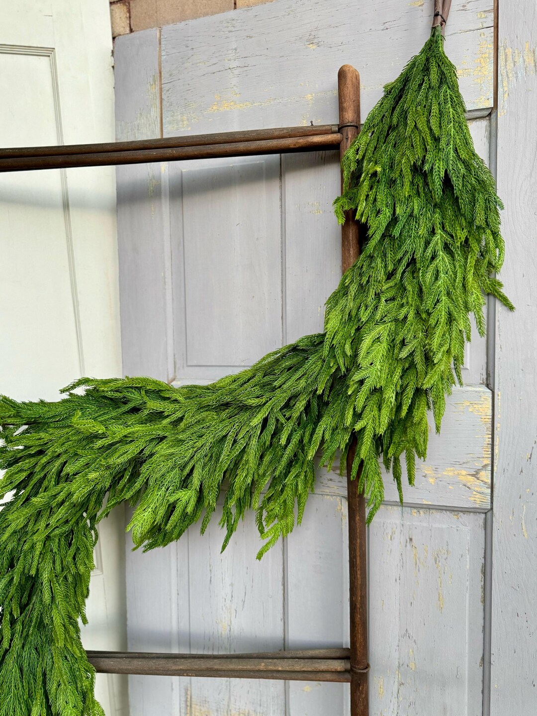 NEW! 6’ DELUXE Norfolk Pine Garland, Extra Thick Real Touch Pine ...