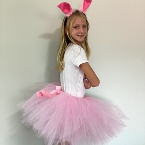 Pink Pig Costume, Pig Tutu, Pig Costume, Halloween Costume, Birthday ...