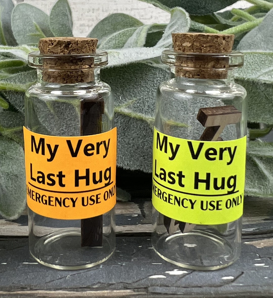 My Very Last Hug, Emergency Hug, Little Hug, Gag Gift - Etsy