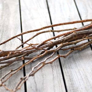 15 Cedar Forest Branches & Twigs for SEASONAL DECOR, Bonsai Crafts ...