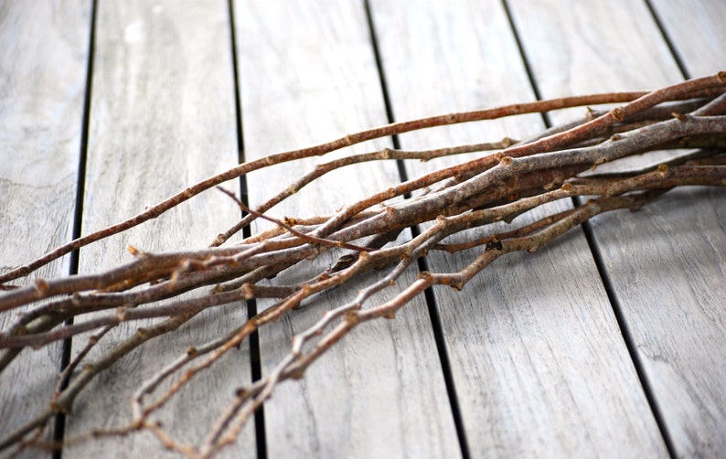 15 Cedar Forest Branches & Twigs for SEASONAL DECOR, Bonsai Crafts ...