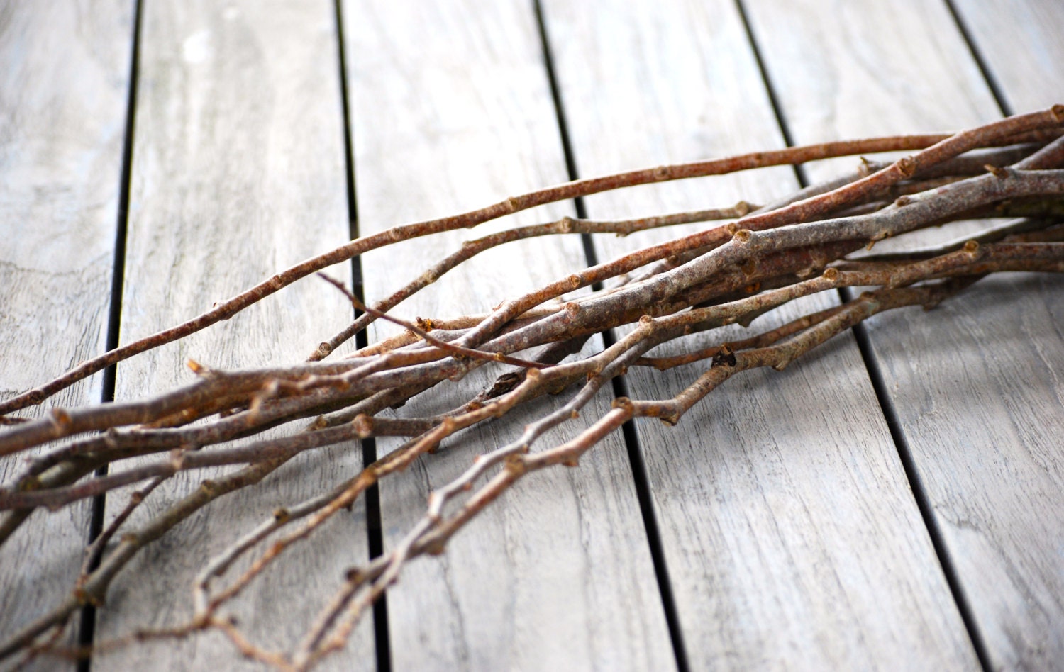 15 Cedar Forest Branches & Twigs for SEASONAL DECOR, Bonsai Crafts ...