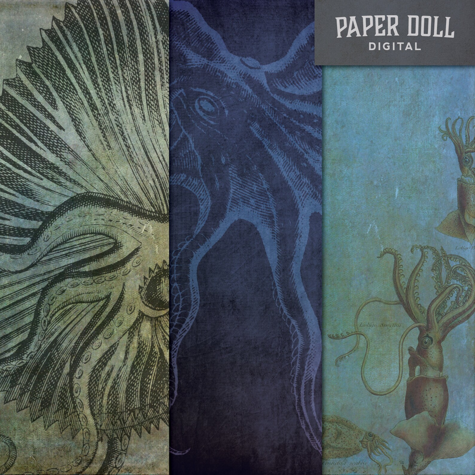 Ocean Digital Paper Squid Clip Art Tentacle Digital Paper Vintage Junk ...