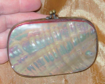 Shell Coin Purse | Etsy