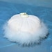 Antique Victorian Swan's Down Powder Puff French Swansdown Feather ...