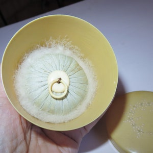 Antique Swans Down and Silk Powder Puff With Bone Handle & Antique ...