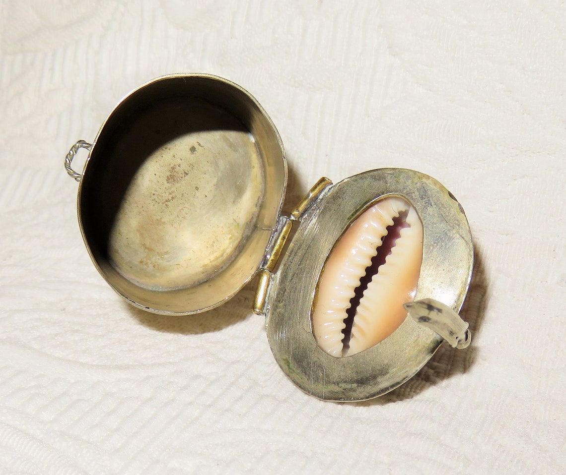 Antique Silver Mounted Tiger Cowrie Shell Hinged Box-snuff - Etsy