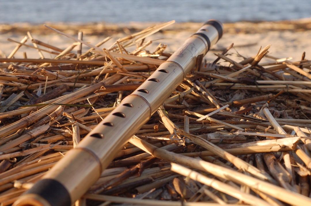 8 Hole Bamboo Flute in C - Etsy