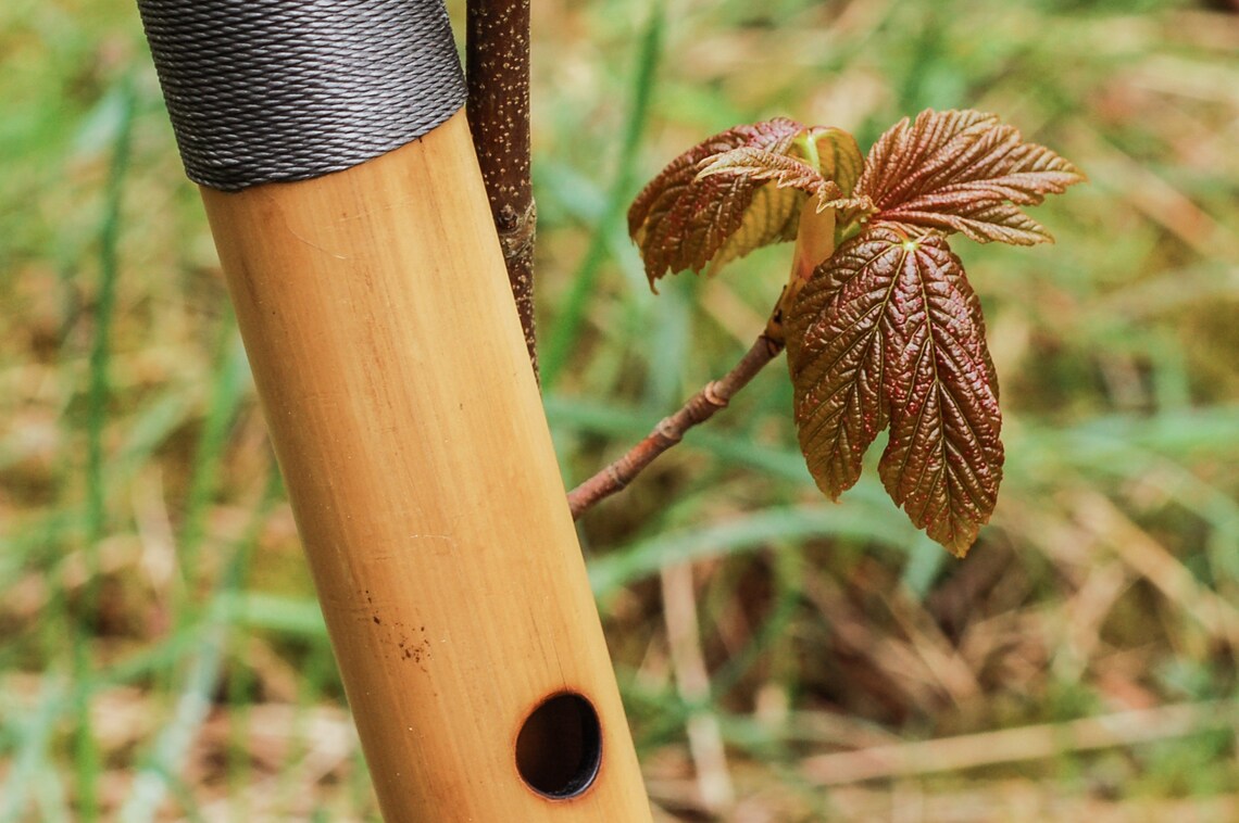 Shakuhachi 2.4 Flute (bass A, 70 Cm) - Etsy