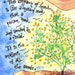 Mustard Seed Parable Scripture Art Print Catechesis of the Good ...