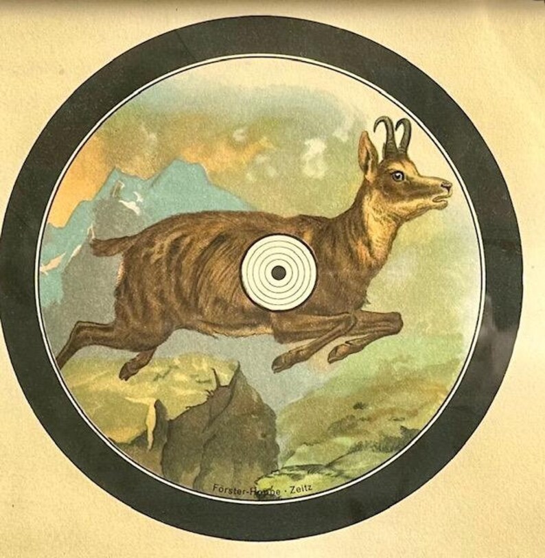 Vintage German Shooting Targets - Etsy