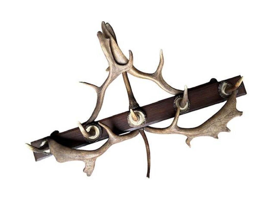Beautiful Antler Hat Rack - Etsy