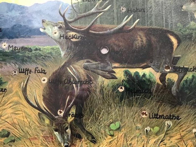 German Shooting Target Circa 1936 Paper Under Glass - Etsy