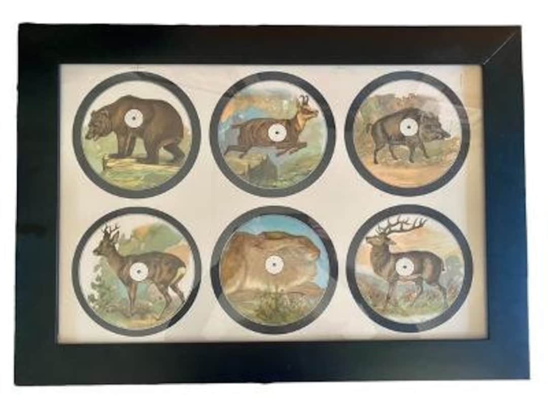 Vintage German Shooting Targets Framed - Etsy