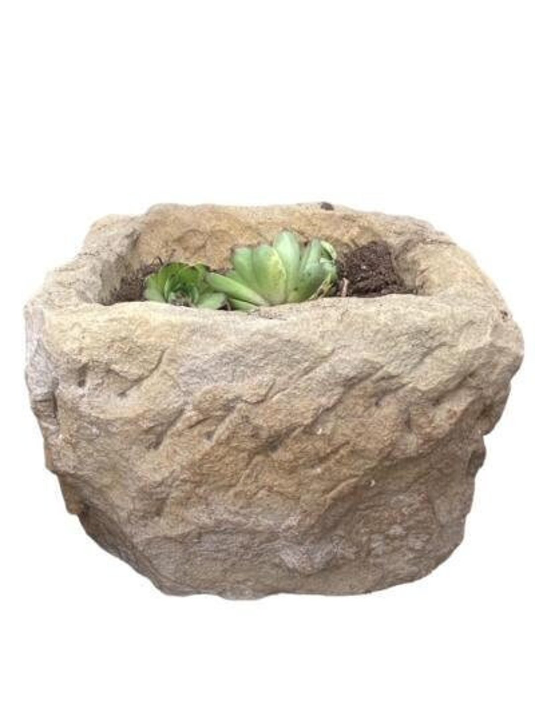Stone Animal Trough Planter - Etsy